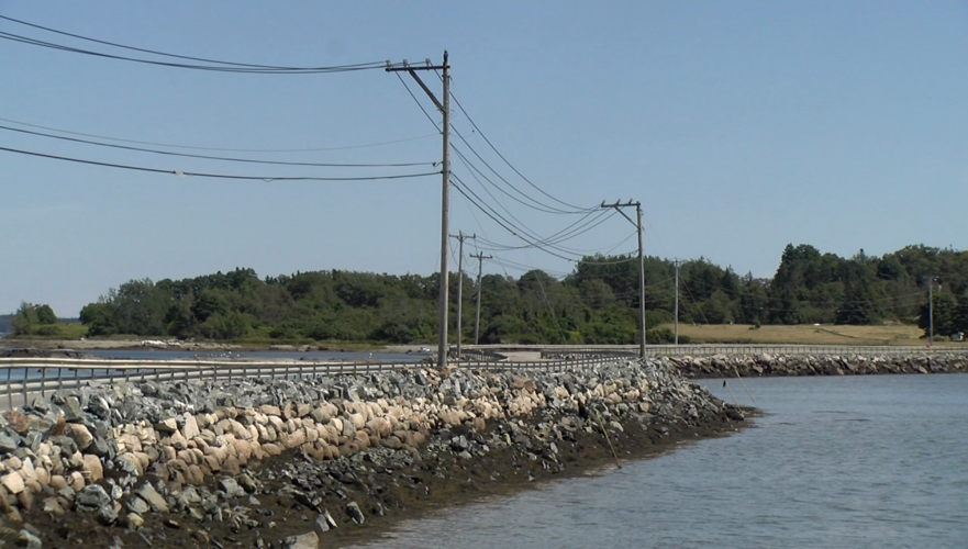 Ospreys nesting on utility poles causing outages across coastal ...