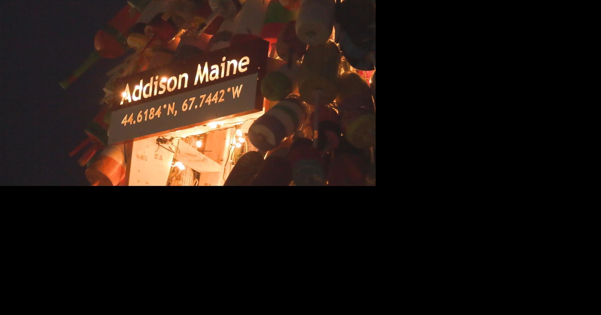 Addison's buoy tree is officially the biggest in America -- and each ...