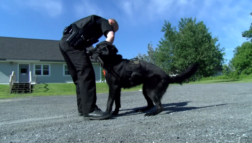 Clinton police department's K-9 program hopes to help with retention ...