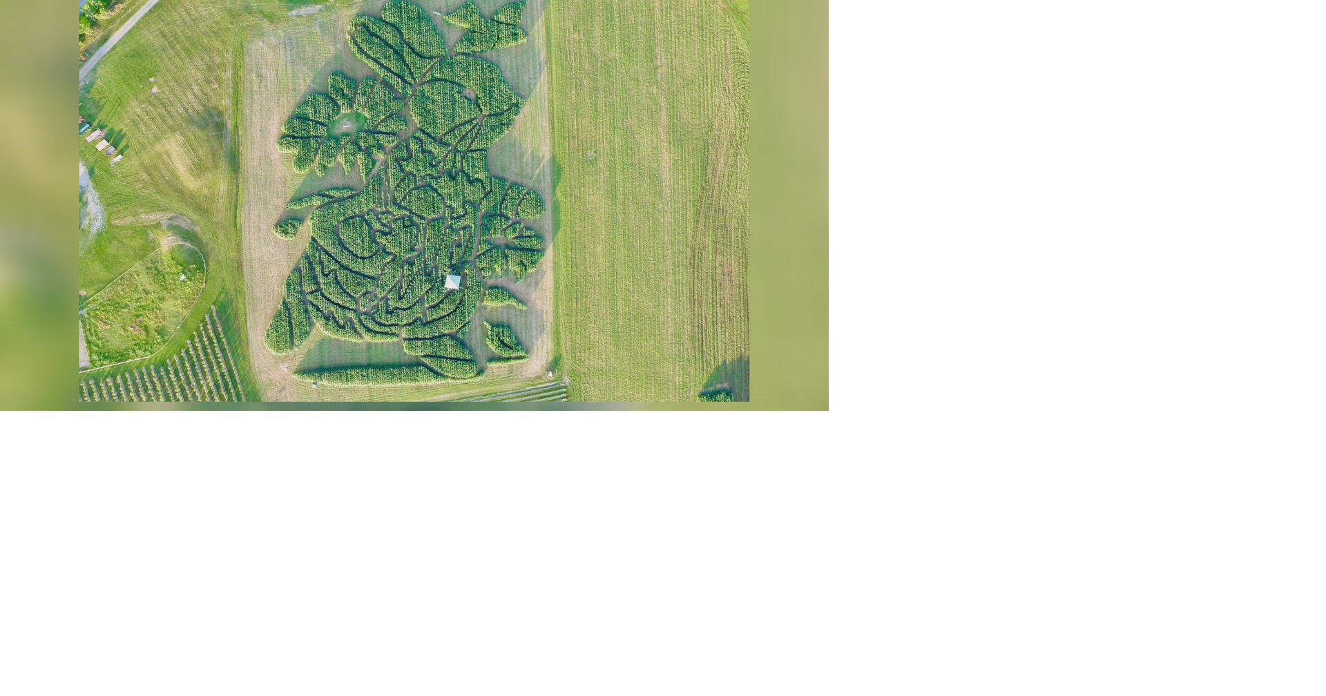 Treworgy Family Orchards looks to claim USA Today's best corn maze ...