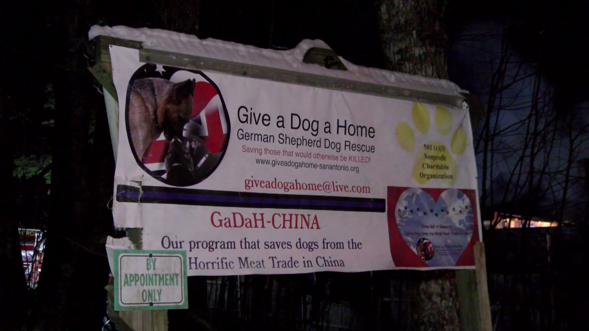 Sebec animal rescue looking for foster homes after fire | News ...