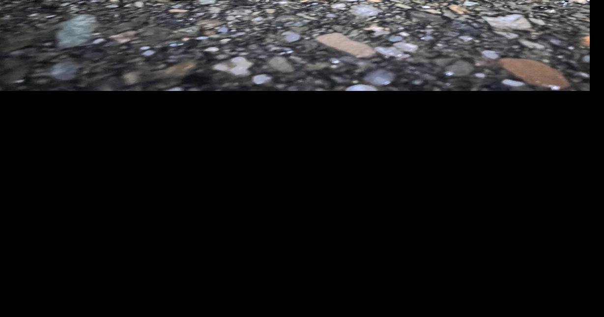 MDIFW urges drivers to use caution for critters during spring "Big ...