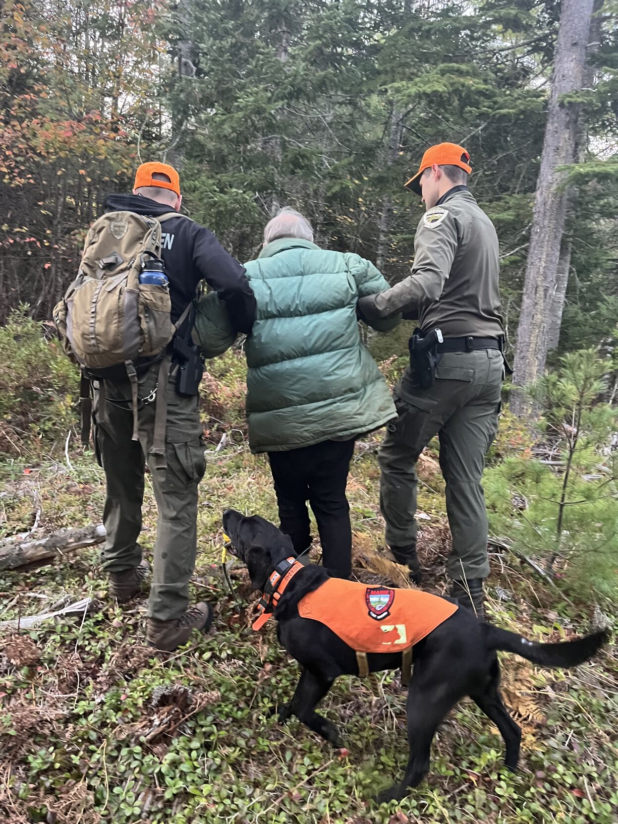 Warden Service K9 team locates 91-year-old lost in the woods | Local ...