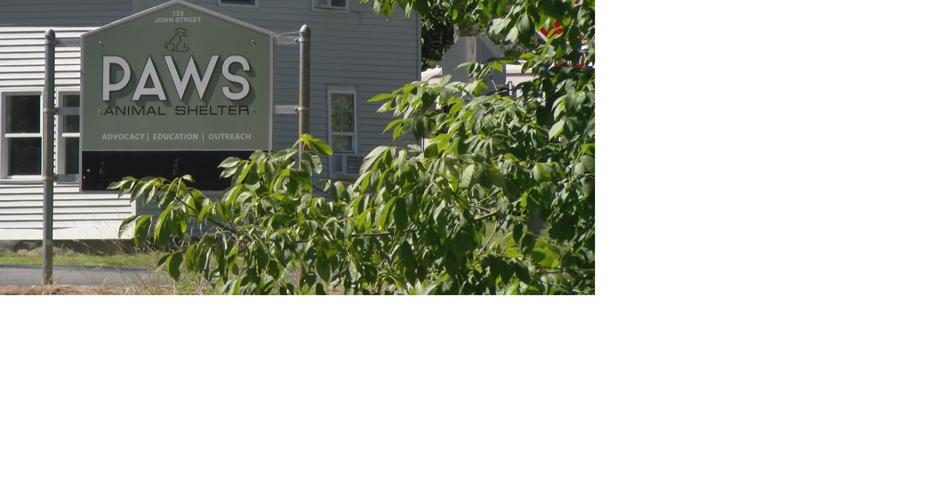 Camden animal shelter sees an influx of stray cats | Local News ...