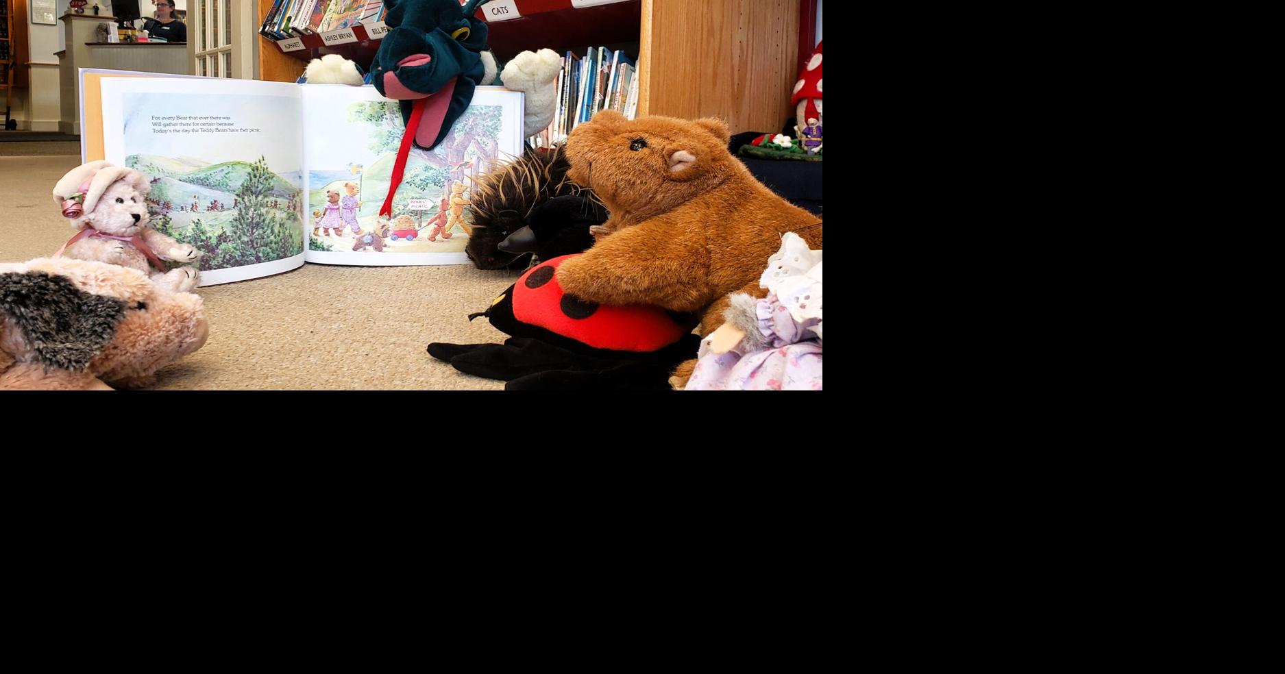 Stuffy Sleepover at the library | Local News | foxbangor.com