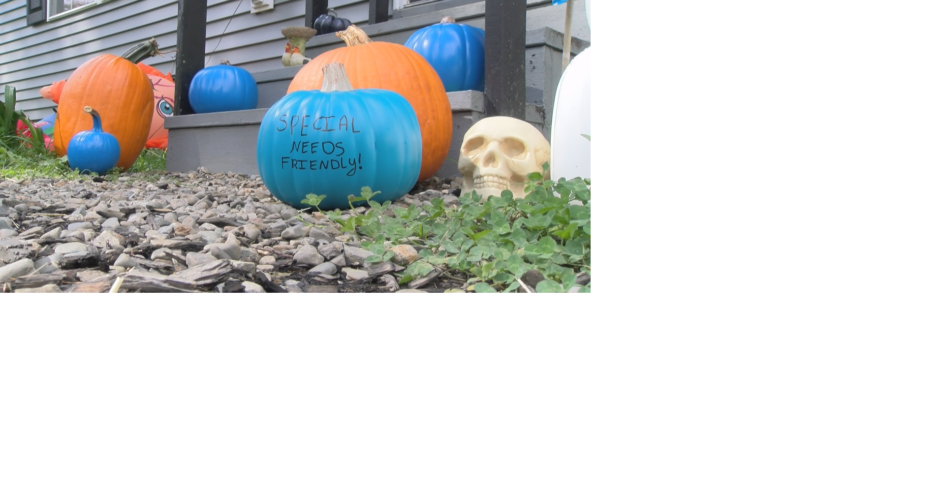 Project Big Blue Pumpkin: raising awareness for trick-or-treaters with ...