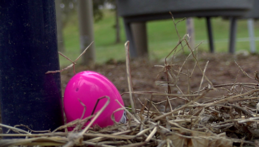 Bangor residents discover Easter eggs containing White Supremacist ...