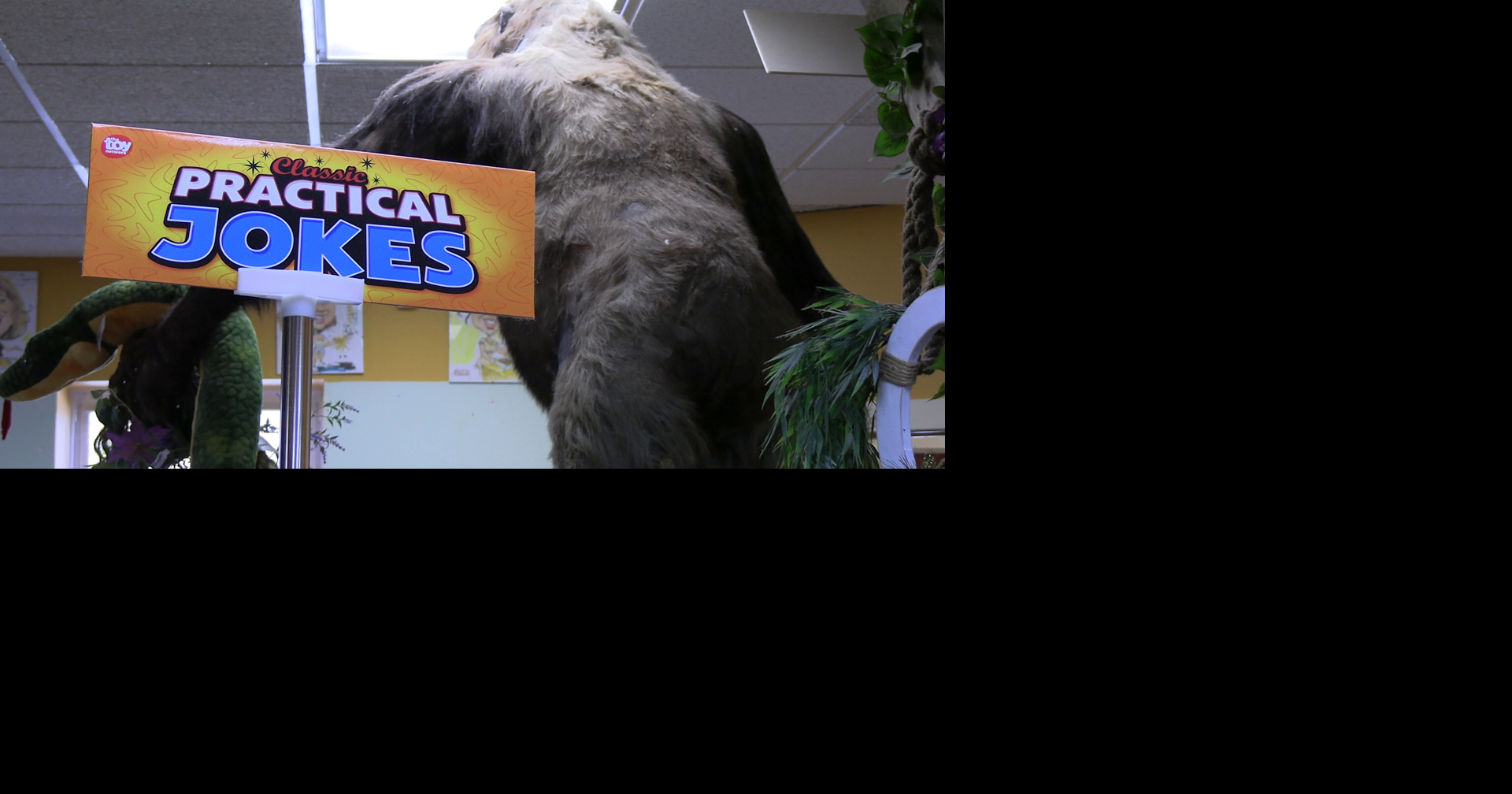 April Fools Day pranks from Perry's Nut House | Local News | foxbangor.com