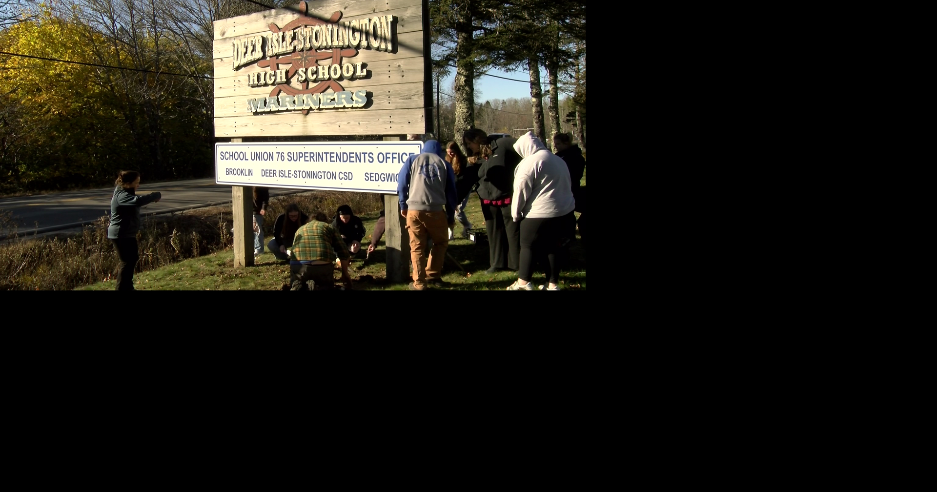 The Yellow Tulip Project: planting flowers to break the mental health ...