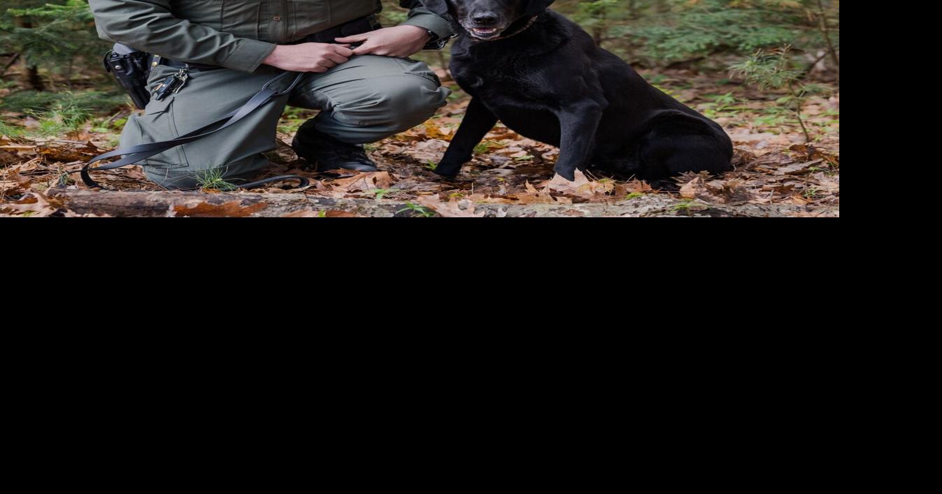 Maine Warden Service mourns loss of long-time K9 Sig | Local News ...
