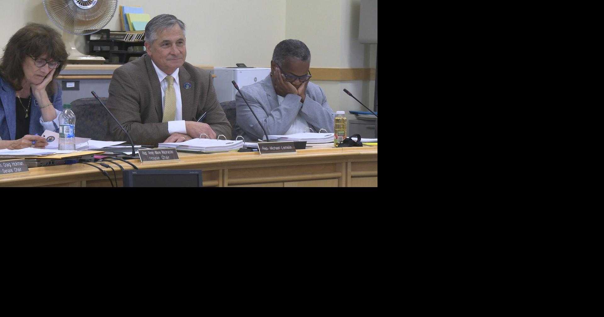 Lawmaker calls for review of DHHS after deadly Chelsea case | News ...