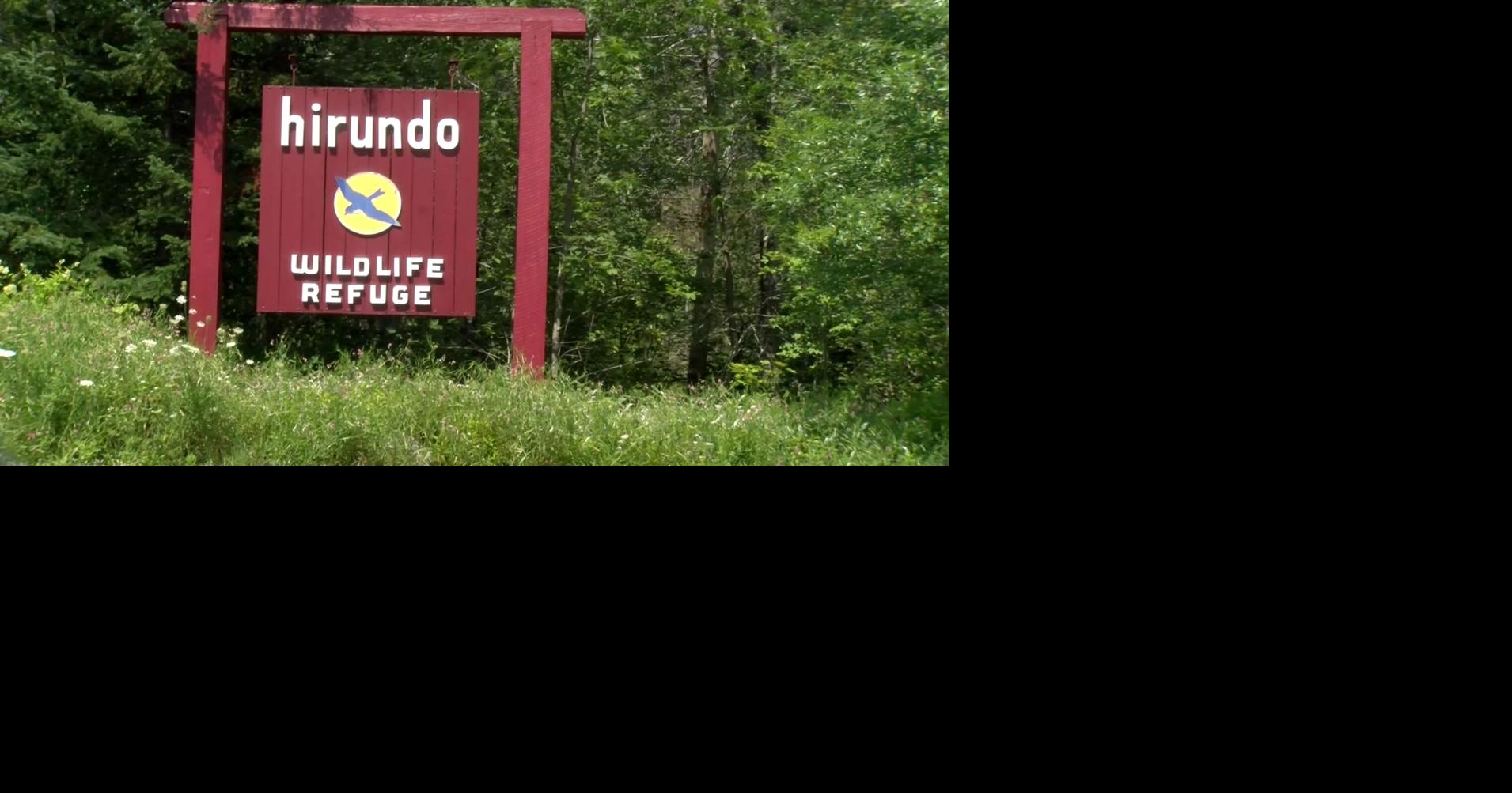 Hirundo Wildlife Refuge offering summer programs | Local News ...