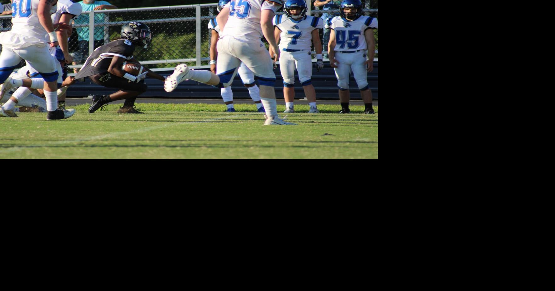 Panthers lose to Bears | Sports | franklinfavorite.com