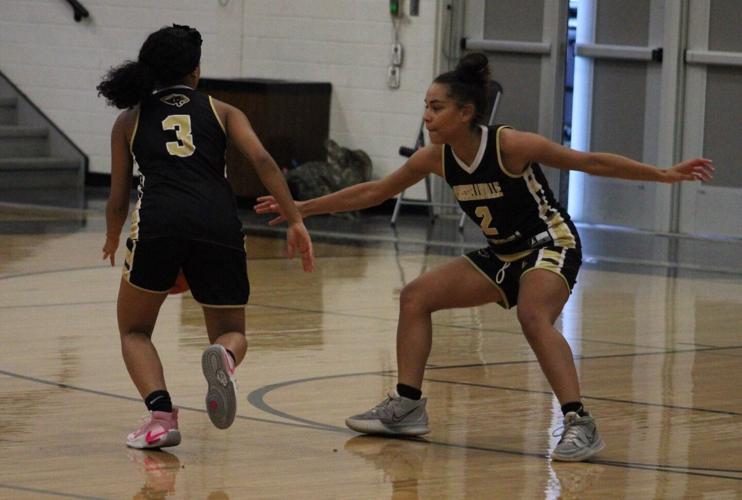 Lady Panthers prepare for winning season | Sports | franklinfavorite.com