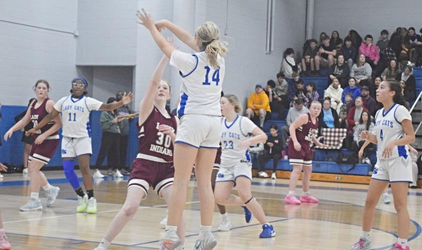 FSMS sweeps doubleheader with East Robertson | Sports ...