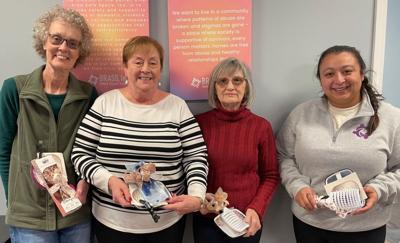 SC DAR donates hygiene kits to Barren River Area Safe Space | News ...