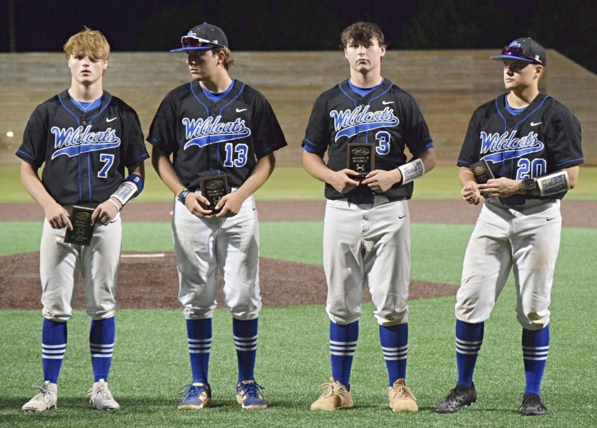 Wildcats selected to the 13th District Baseball All-Season Team ...