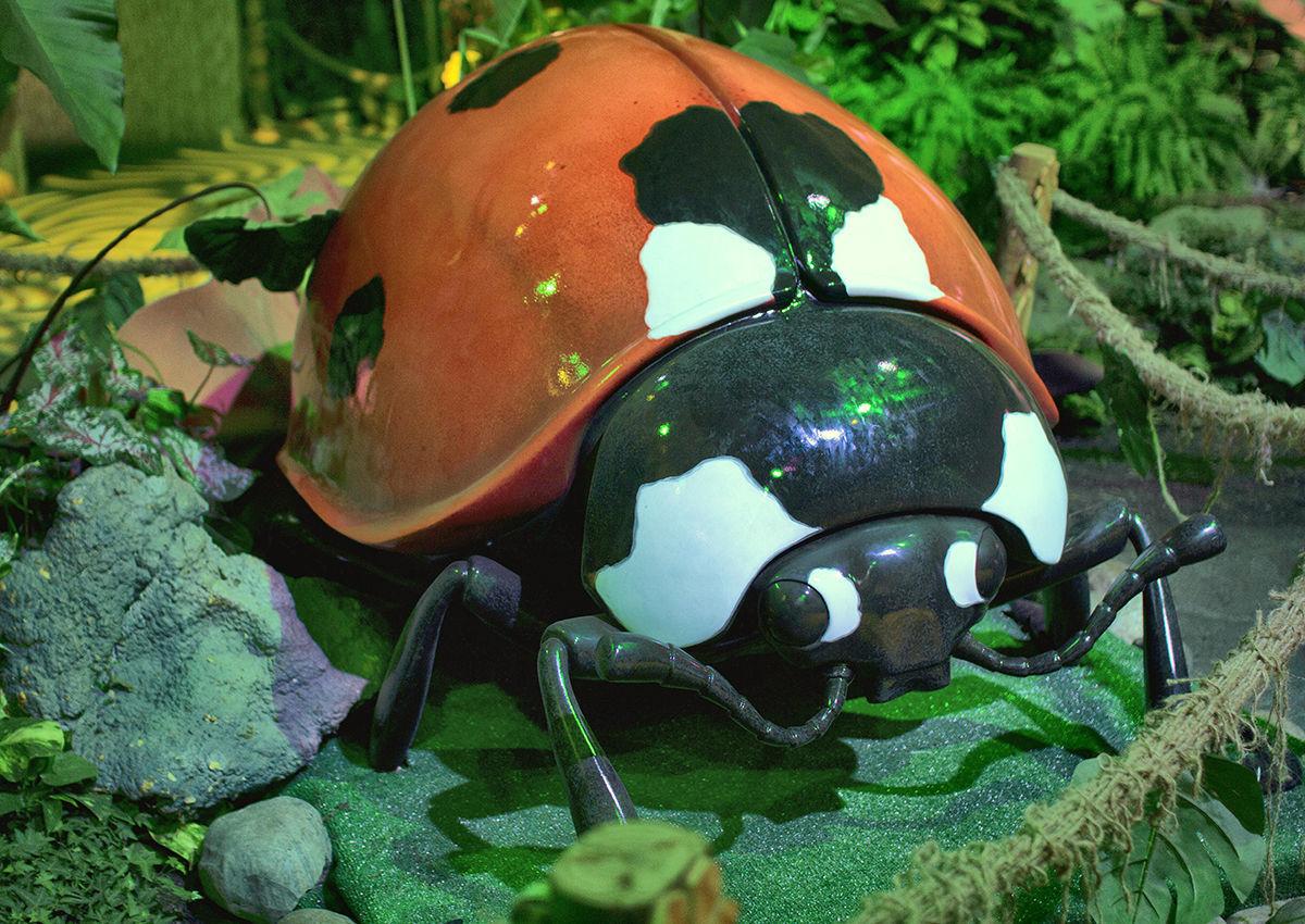 'Giant Insects' exhibit lands at the Science Museum of Virginia ...