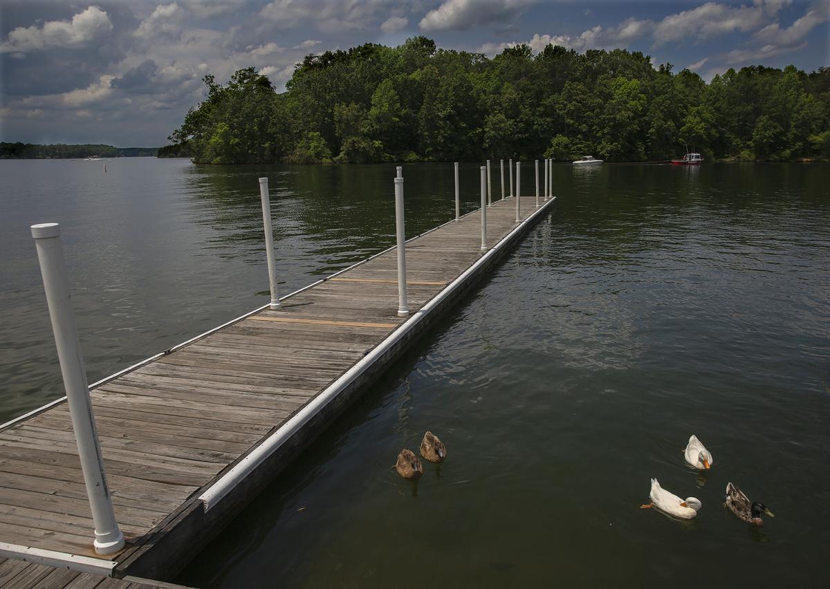 Harmful algae bloom returns to Lake Anna