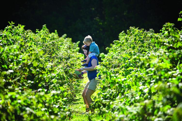 SNEAD’S FARM >> Enjoying a day of rural fun