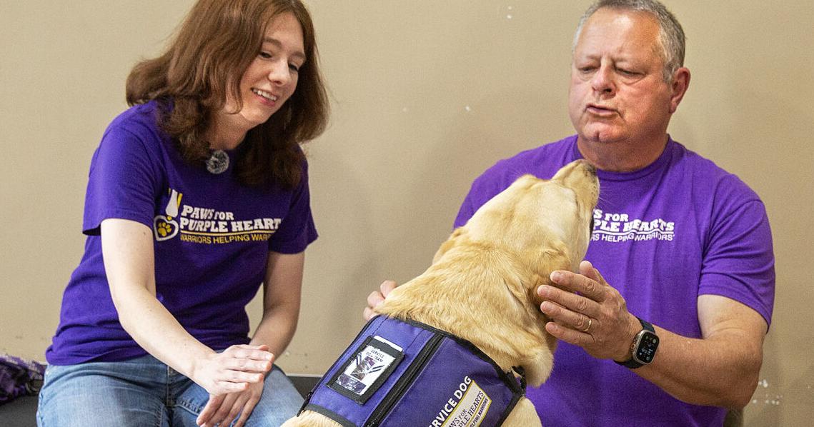 PAWS for Purple Hearts VA gifts service dogs to veterans