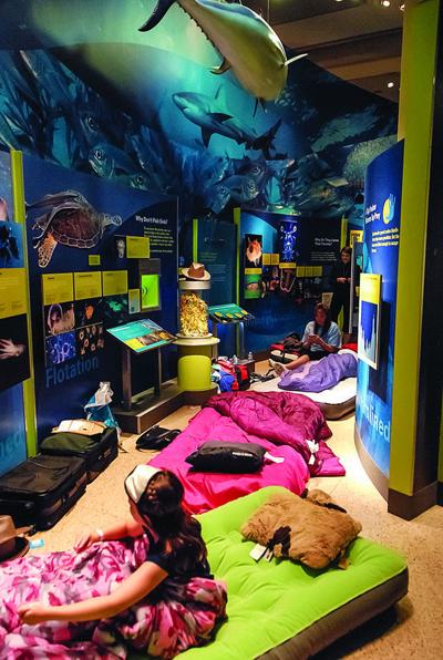 Smithsonian offers late-night fun with museum sleepovers