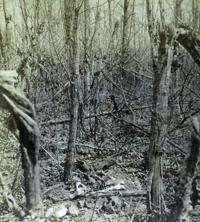 Civil War photos; Stanford Collection