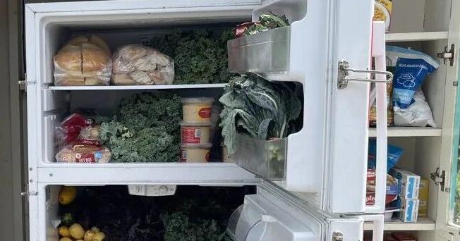 Free Fridge group encourages people to give and take food