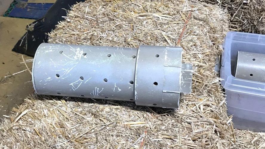 There's more to barn hunting than smelling a rat