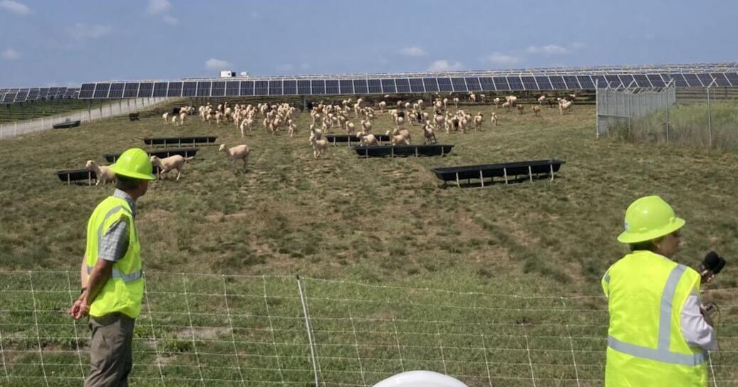 Once controversial Spotsylvania solar facility running smooth after ...