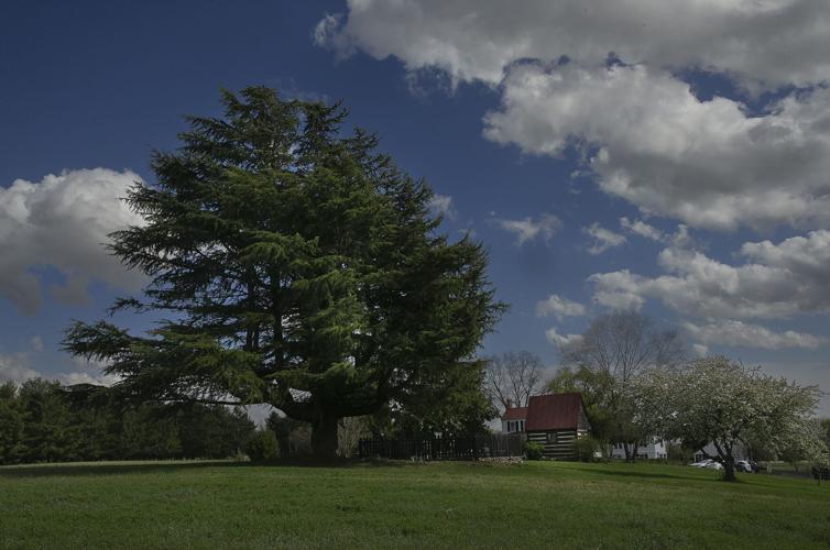 Historic Garden Week brings the spotlight to King George homes