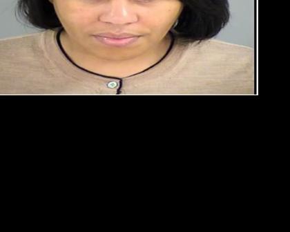 Businesswoman who lost race against then-Va. House speaker charged in ...