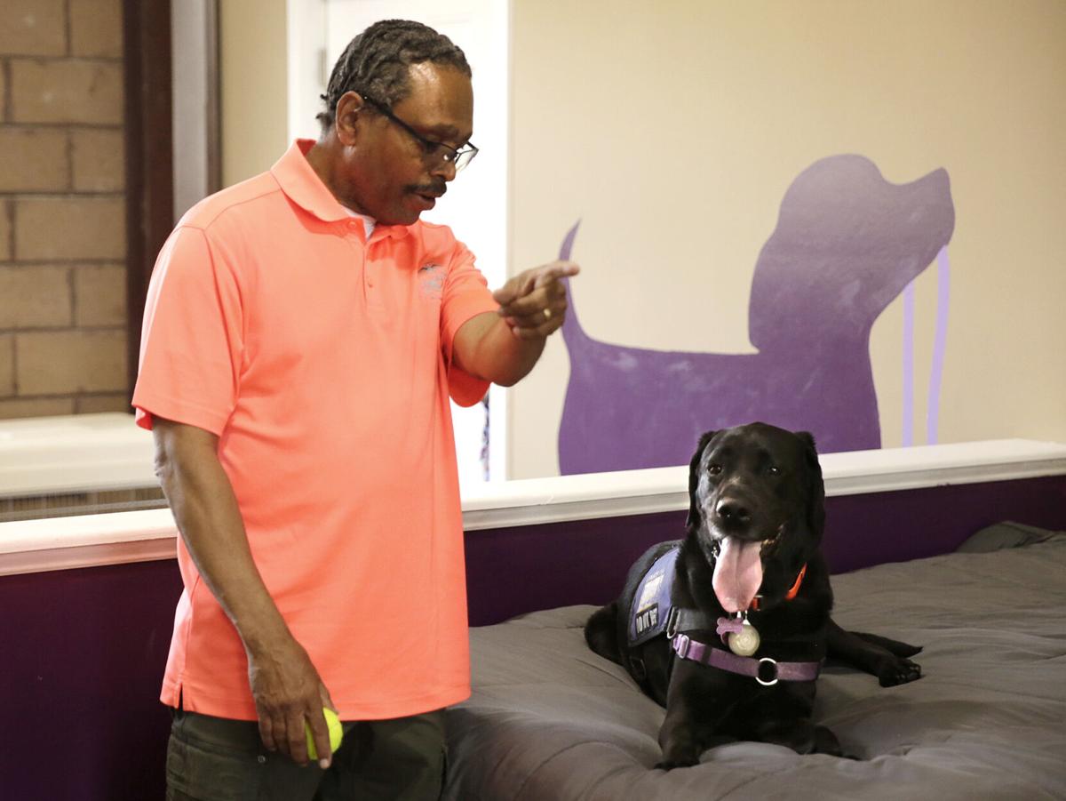PAWS for Purple Hearts VA gifts service dogs to veterans
