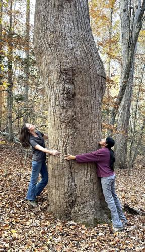 Joyce Arndt and Tank Creek Preserve