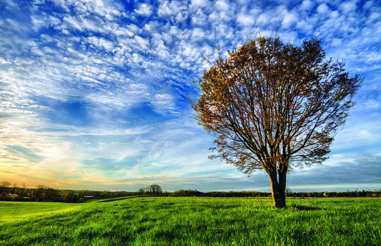 Photographers capture winning local landscapes in Scenic Virginia contest
