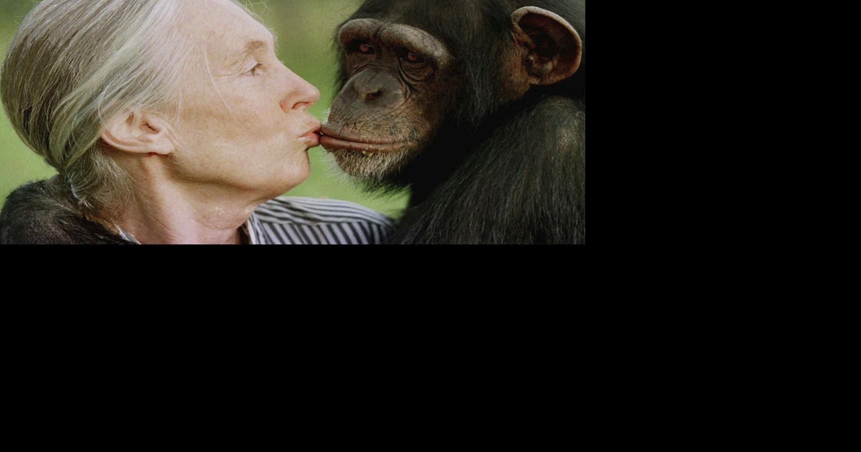 Jane Goodall dies at 91