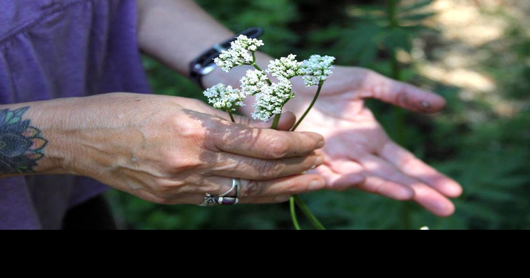 Herbalist Suki Roth takes healing back to the garden