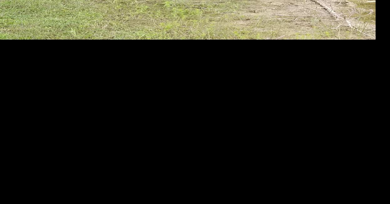 Pack 142 Scouts rise to challenging times by being cheerful Scouts and ...