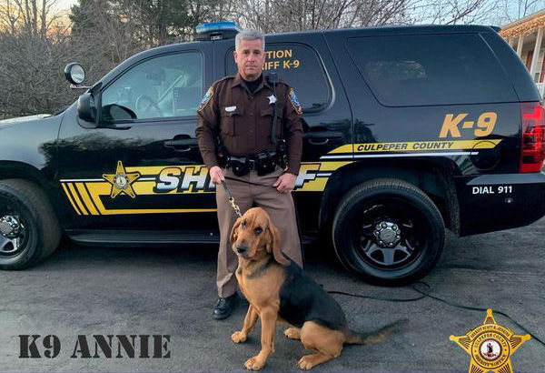 K9 Annie is first bloodhound at Culpeper County Sheriff's Office