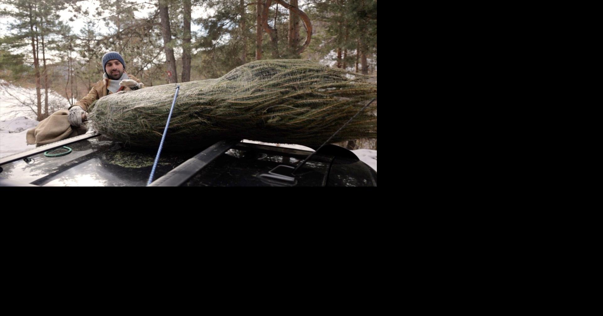 New I-95 bridge over Rappahannock fully open