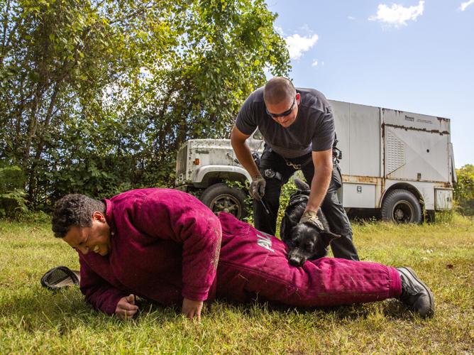 Stafford police release the Titan to apprehend suspects