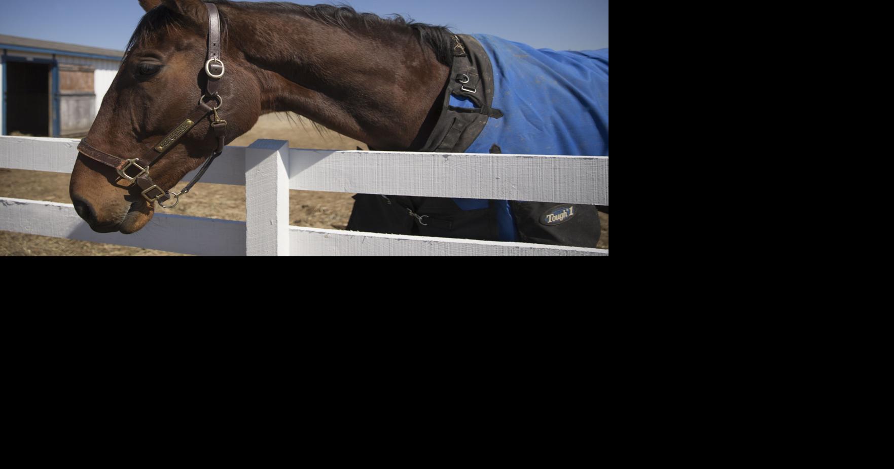 Visitor experience to Secretariat's birthplace in Caroline to be enhanced