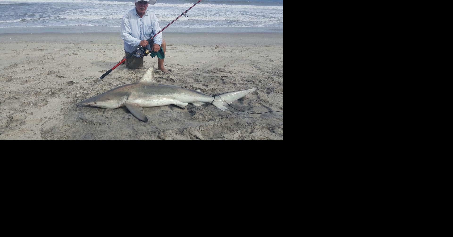 Dyson column: Just when you thought it was safe to go back into the ...