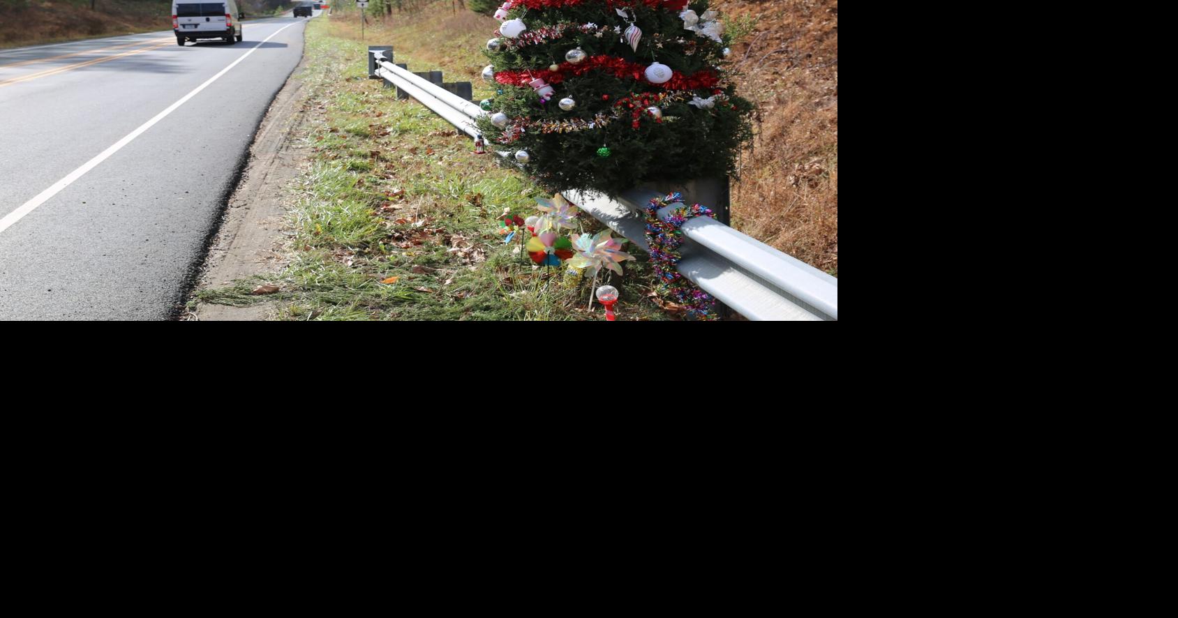 Family hopes to plant new tree after popular roadside cedar is cut down