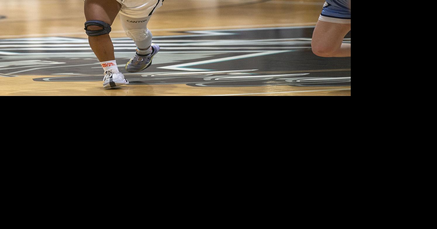 Panthers' Ramey is All-Area girls basketball player of year