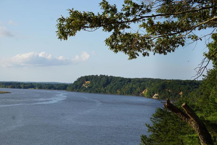 Virginia sues New York developer over environmental violations at Fones ...