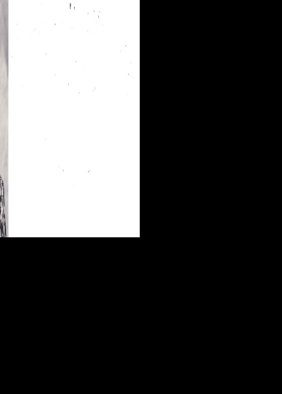 Josephine A. Whitaker