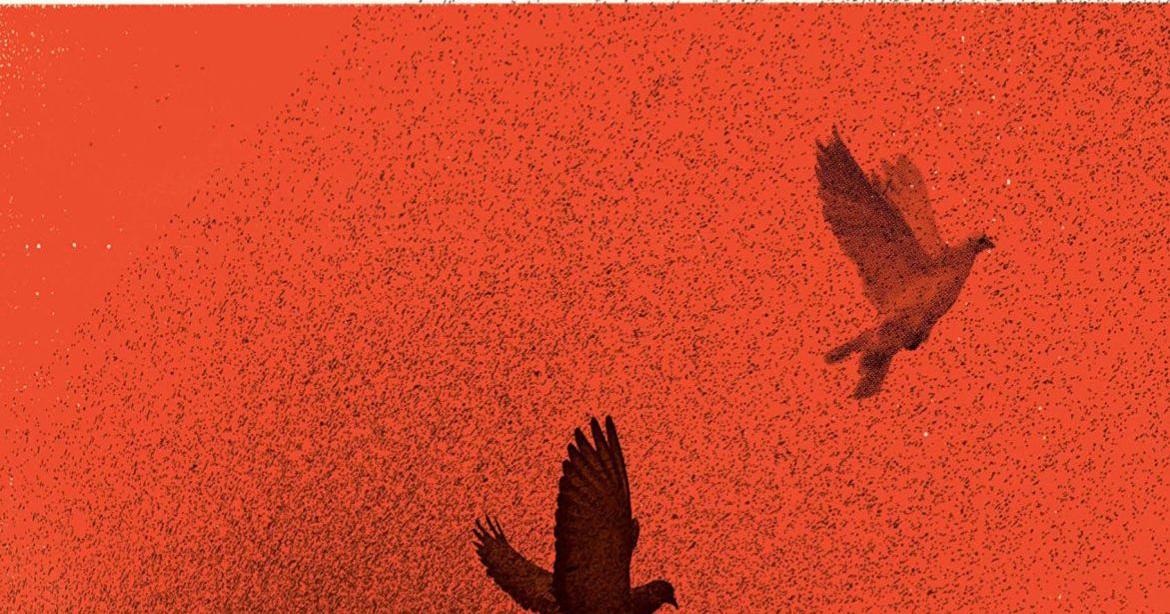 Book review: Ackerman creates stunning portrait of a fading marriage