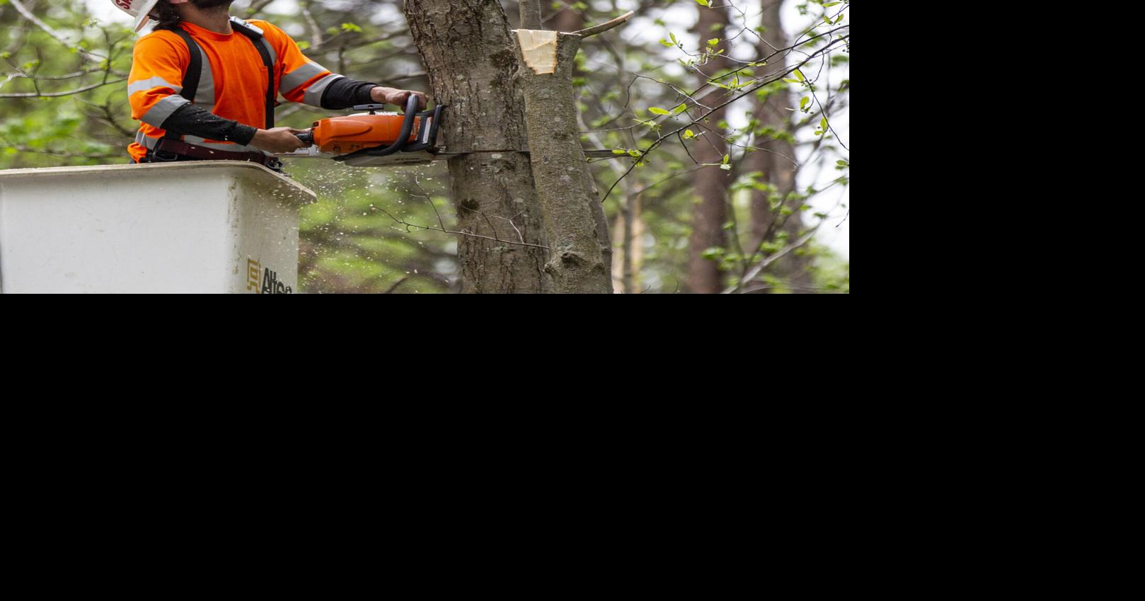 CLEANUP >> VDOT crews remove fallen trees, branches from Jan. 3 ice storm