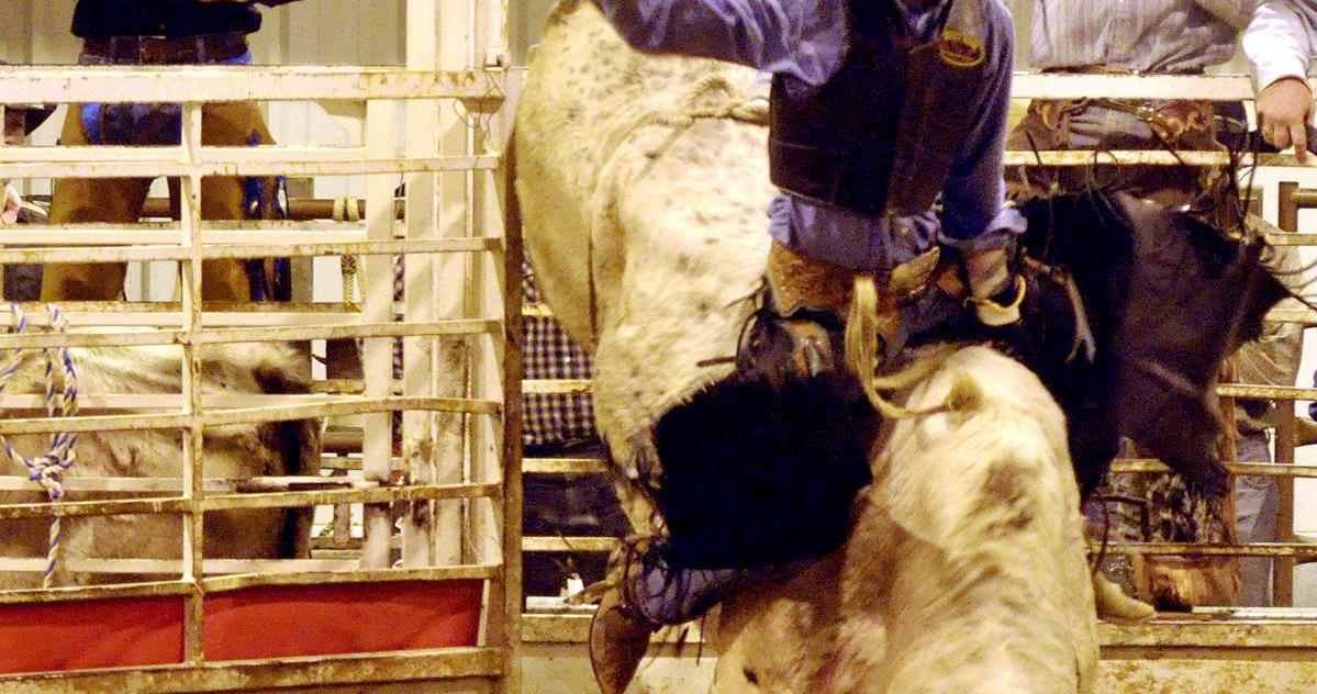 Bull Riding Classic a hit once again